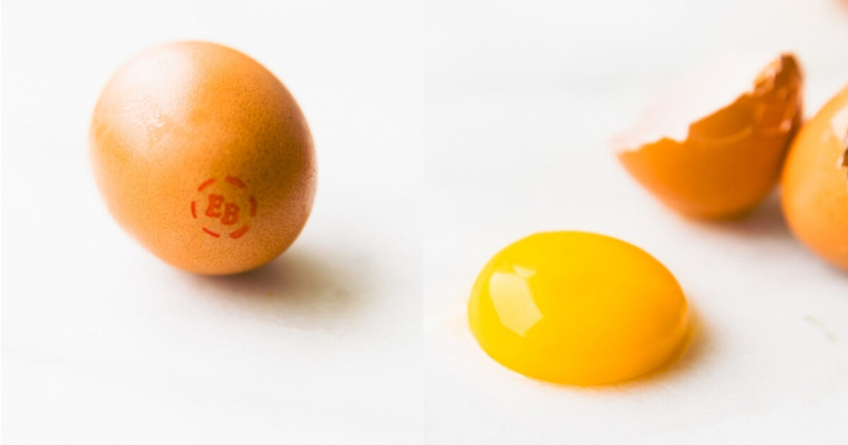 Why EB Eggs should be the Most Popular Ingredient in… | Eggland's Best